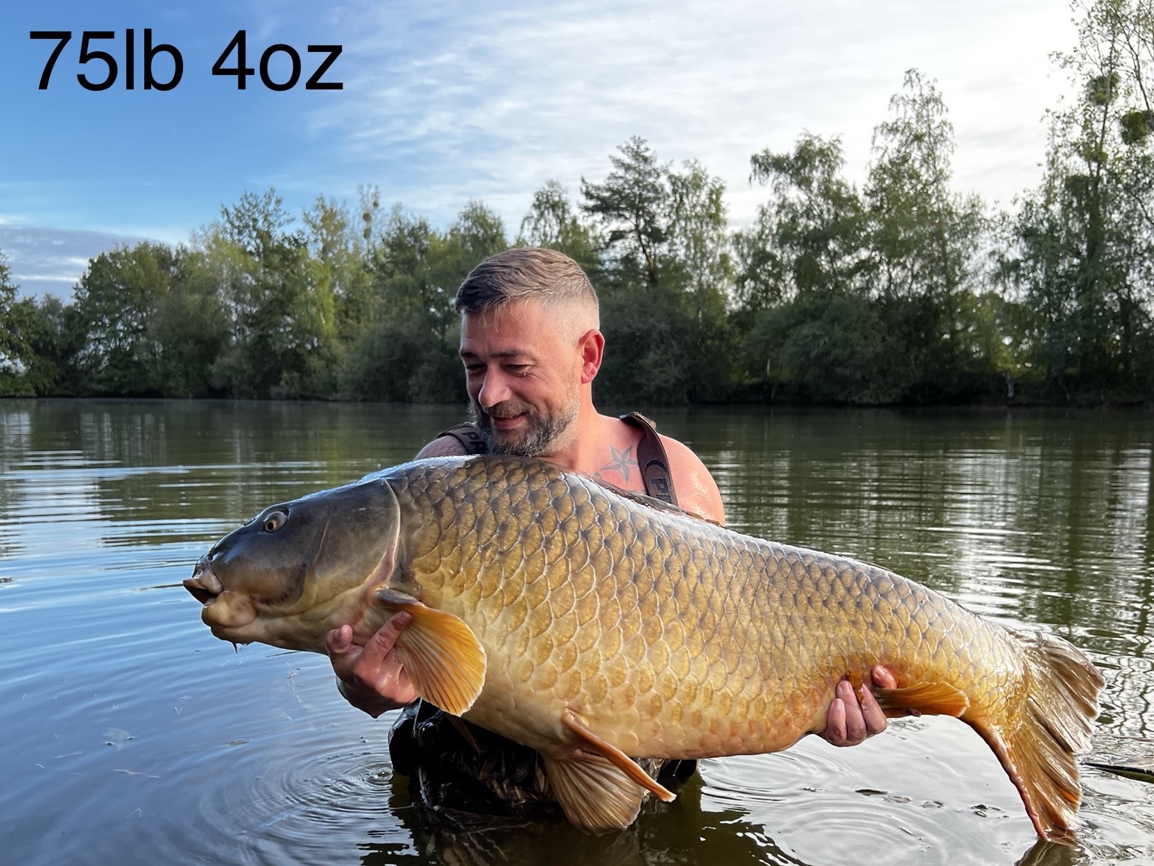 PB common | Total Carp